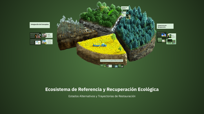 Ecosistema de Referencia y Recuperación Ecológica by Nilo Bayardo ...
