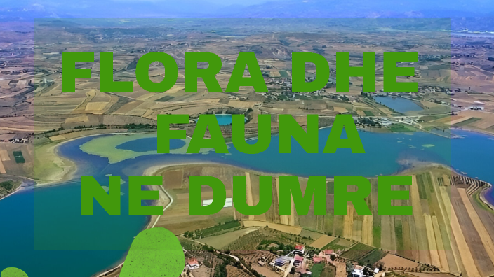Flora dhe Fauna ne Dumre by kristina allani on Prezi