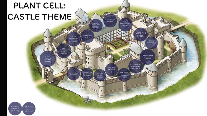 PLANT CELL: CASTLE THEME by Aljeanette Jimenez on Prezi
