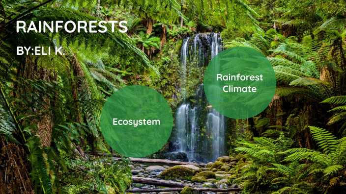 Rainforests by Elijah Knowles on Prezi