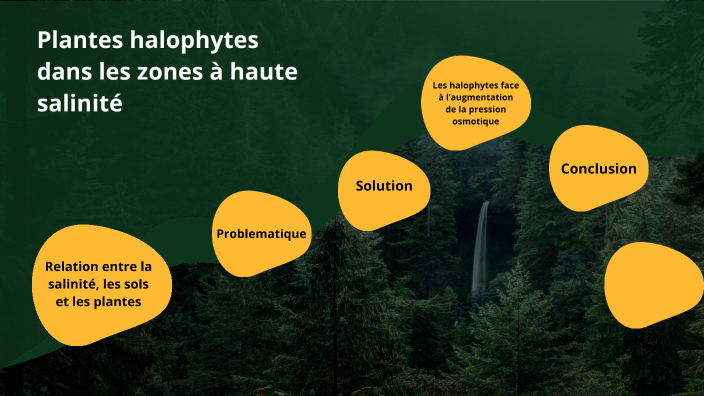 Plantes halophytes dans les zones à haute salinité by on Prezi