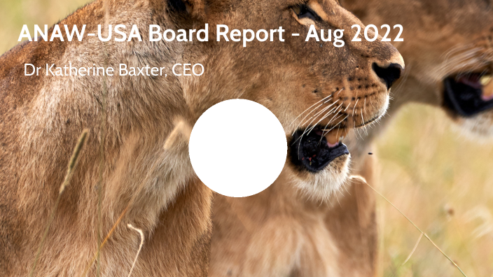ANAW-USA Board Report - Aug 2022 by Katherine Baxter on Prezi
