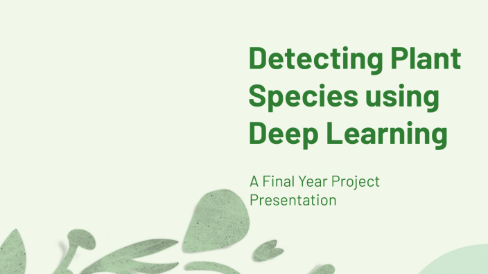 Detecting Plant Species using Deep Learning by i212582 Abdul Rafay ...