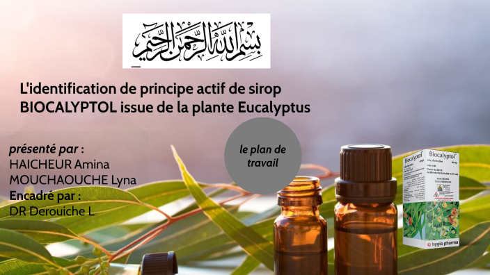 l'identification de principe actif de sirop BIOCALYPTOL issu de la ...