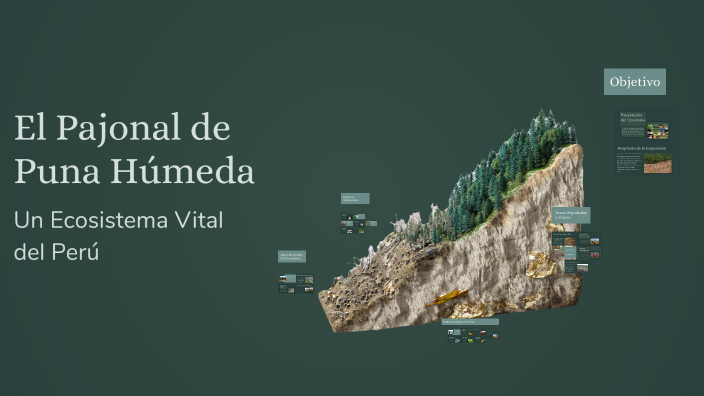 El Pajonal de Puna Húmeda by Palacios Skar on Prezi