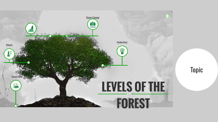 Levels of the Forest by Angela Mentis on Prezi