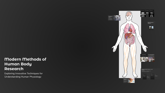 Modern Methods of Human Body Research by Олена Несчетна on Prezi