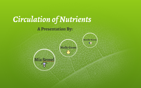 Circulation of Nutrients by Mia Semel on Prezi