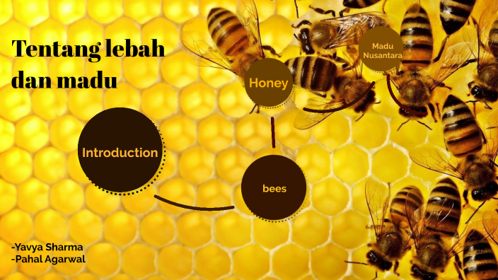 Tentang lebah dan madu by muti bas on Prezi