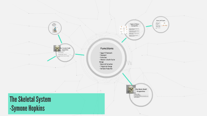 Skeletal System by Symone Hopkins on Prezi