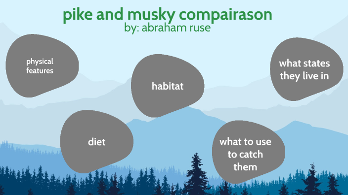 pike and musky comparison by Abraham Ruse on Prezi