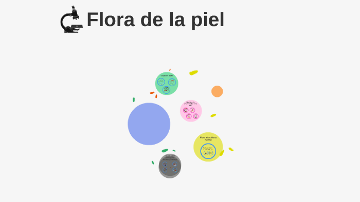 Flora de la piel by Raúl Ramírez Armenta on Prezi