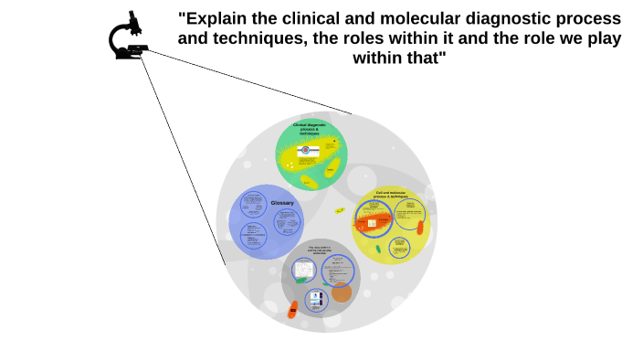 "Explain the clinical and molecular diagnostic process and techniques ...