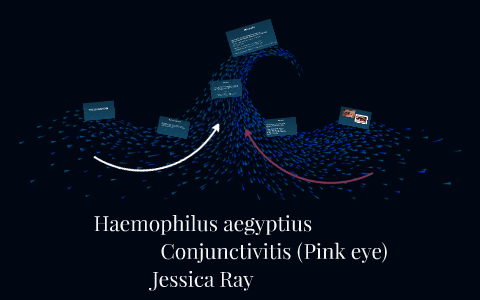 Haemophilus aegyptius by Jess Ray on Prezi