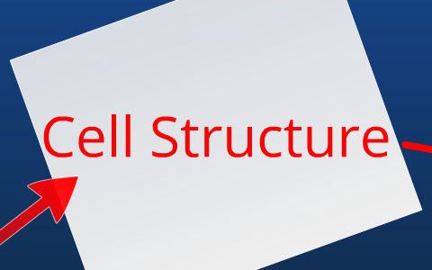 Cell Structure by reece roberson