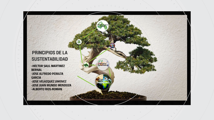 PRINCIPIOS DE LA SUSTENTABILIDAD by Hector Rockny on Prezi