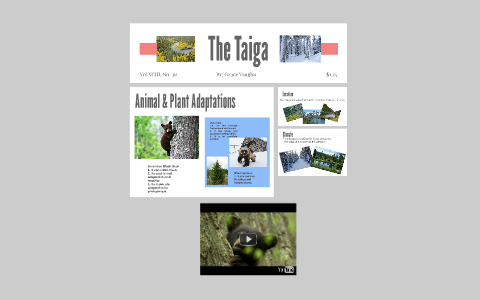The Taiga by Grace Vaughn on Prezi