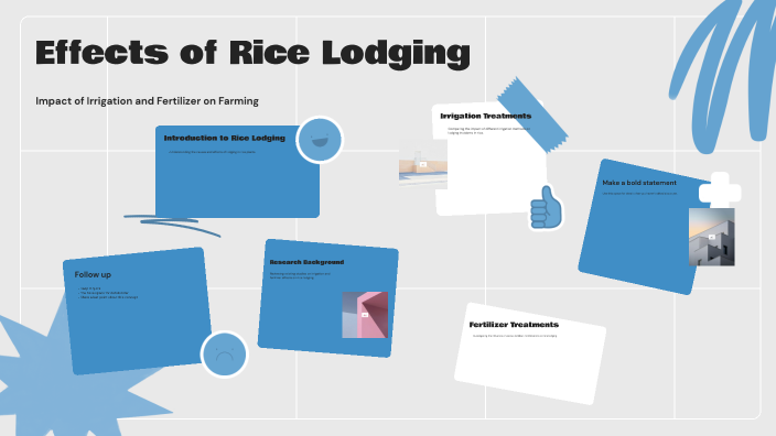 Effects of Rice Lodging by Egi Nur MS on Prezi
