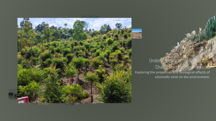 Understanding Ultramafic Soils: Characteristics and Impacts by Chaline ...