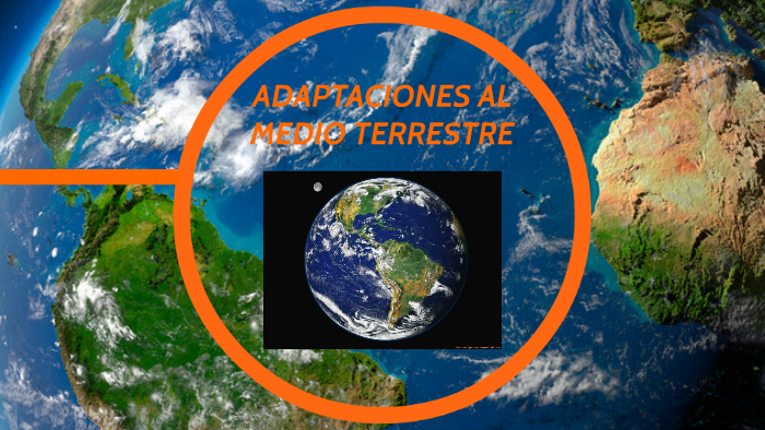 ADAPTACIONES AL MEDIO TERRESTRE by gabriel alonso on Prezi