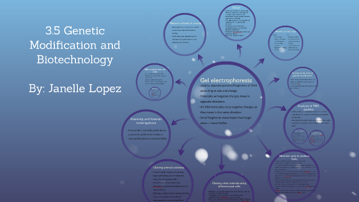 3.5 Genetic Modification and Biotechnology by Janelle Lopez on Prezi