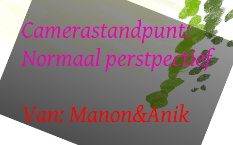 Normaal Perspectief by Anik Dhont on Prezi