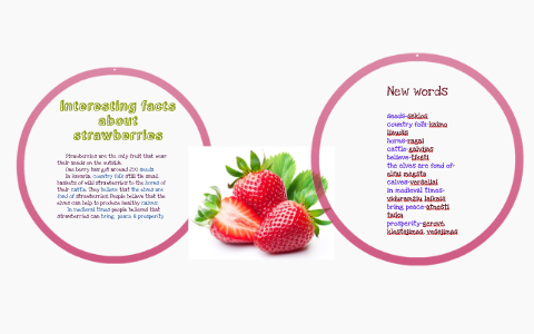 Interesting facts about strawberries by Oreta Stukelytė on Prezi
