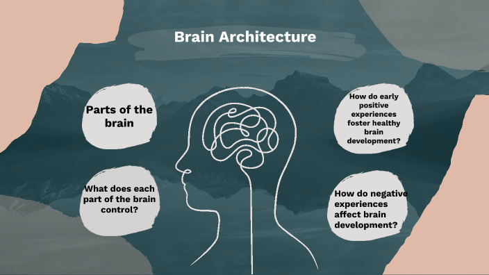 Brain Architecture by Liz Wilson on Prezi