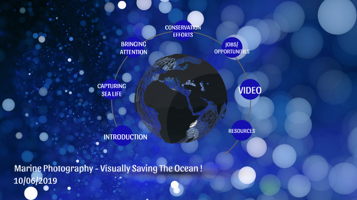 Marine Science Research Project by Kenny Doerrbecker on Prezi