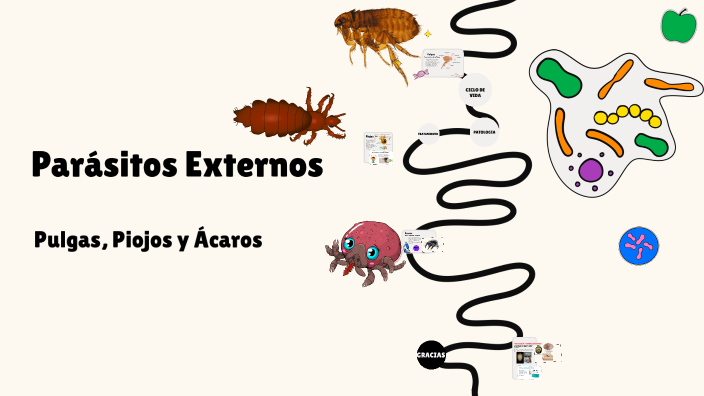 Parásitos Externos by Leonardo Angles on Prezi