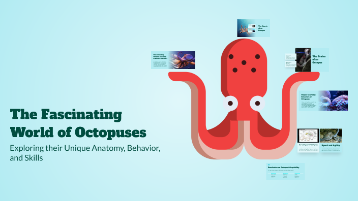 The Fascinating World of Octopuses by Dania Othman on Prezi