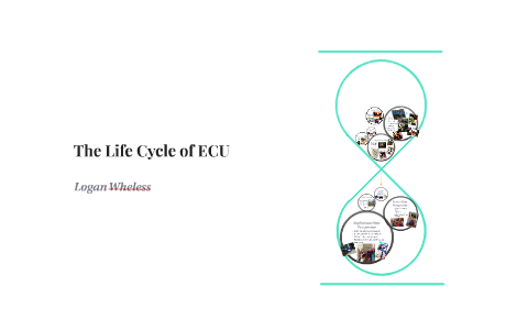 Life Cycle of ECU by Logan Wheless on Prezi