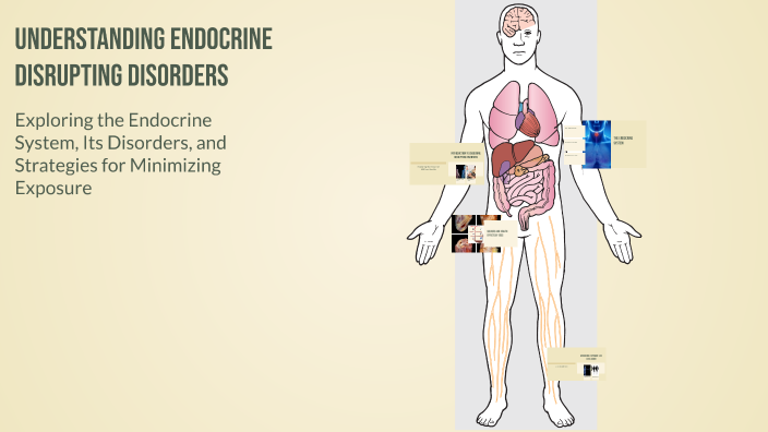 Understanding Endocrine Disrupting Disorders by h h on Prezi