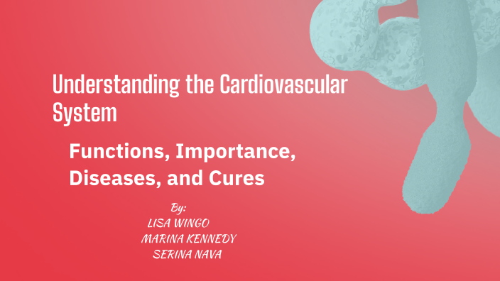 Understanding the Cardiovascular System by Lisa Wingo on Prezi
