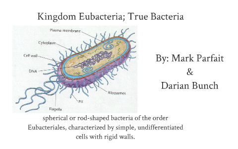 Classification Project by Mark Parfait on Prezi