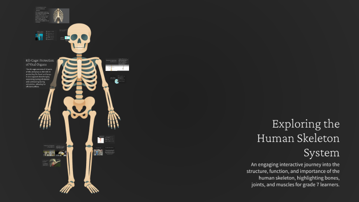 Exploring the Human Skeleton System by anza ahmed on Prezi