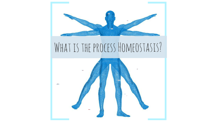AP Biology - Homeostasis by Calvin Pham on Prezi