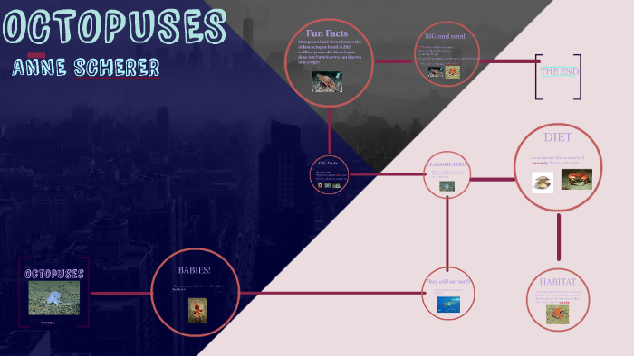 OCTOPUSES by Second Grade on Prezi