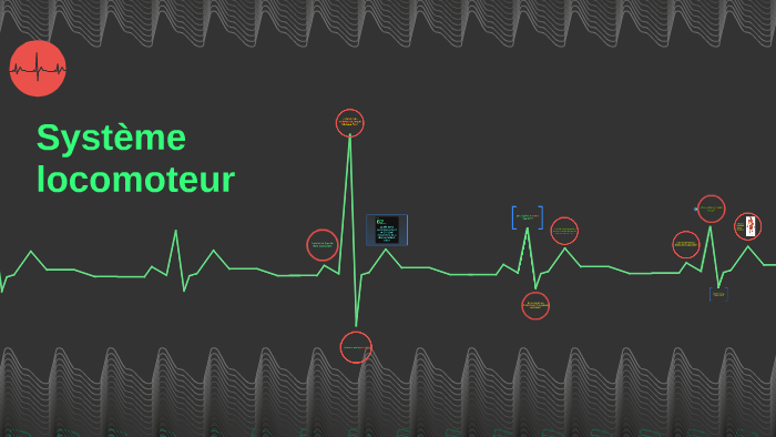 Système locomoteur by Maëva Droguet on Prezi