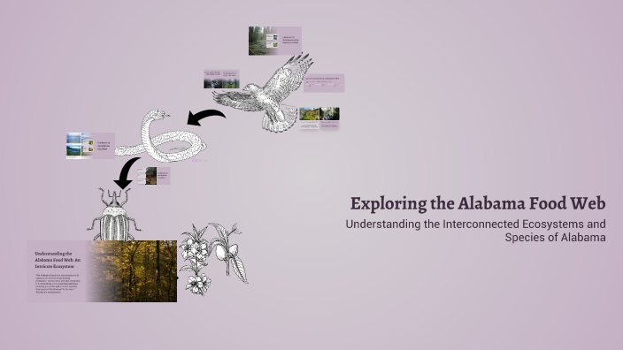 Exploring the Alabama Food Web by Za'Kera Lilley on Prezi