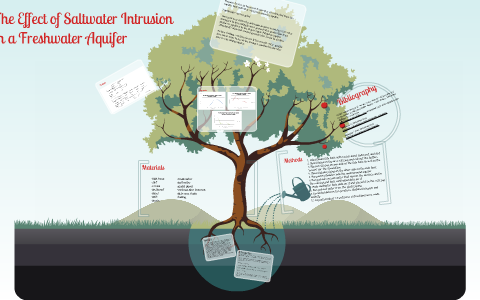 The effect of over extraction of water from a fresh water aquifer by ...