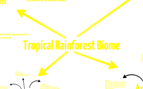 Science biome Concept map by Sofia Arruda on Prezi