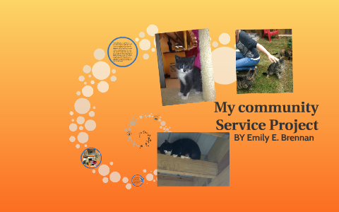 My community Service Project by on Prezi