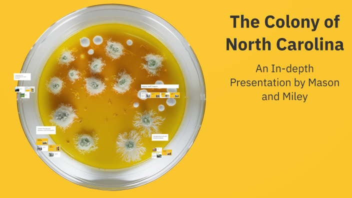 The Colony of North Carolina by Miley Dinh on Prezi
