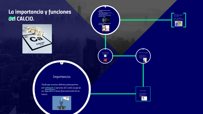 La importancia y funciones del CALCIO. by Karen Vilches on Prezi