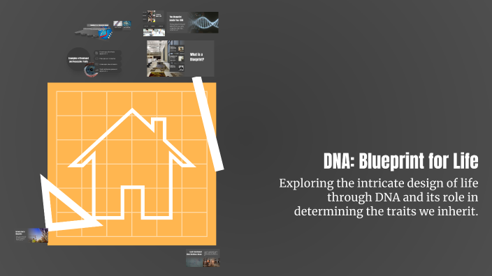 DNA: Blueprint for Life by Brehon Evans on Prezi