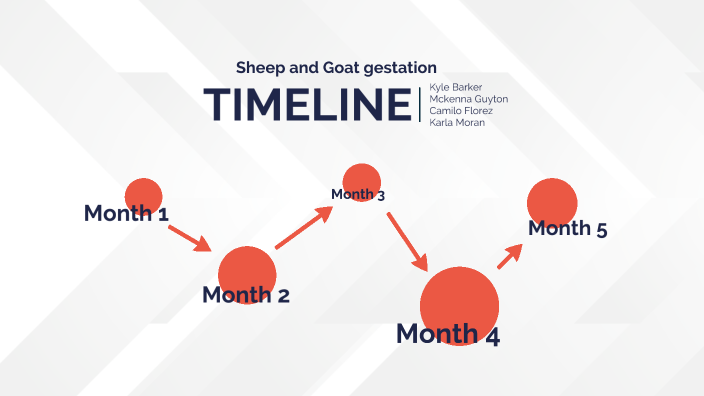 Goat and sheep gestation period by kyle barker on Prezi