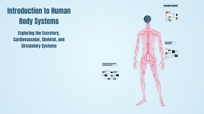 Introduction to Human Body Systems by Andrew Acbang on Prezi