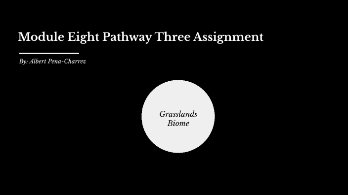 Module eight Pathway Three Assignment by MrFreshMexican on Prezi