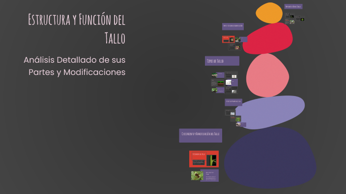 Estructura y Función del Tallo by Lisa Velázquez on Prezi